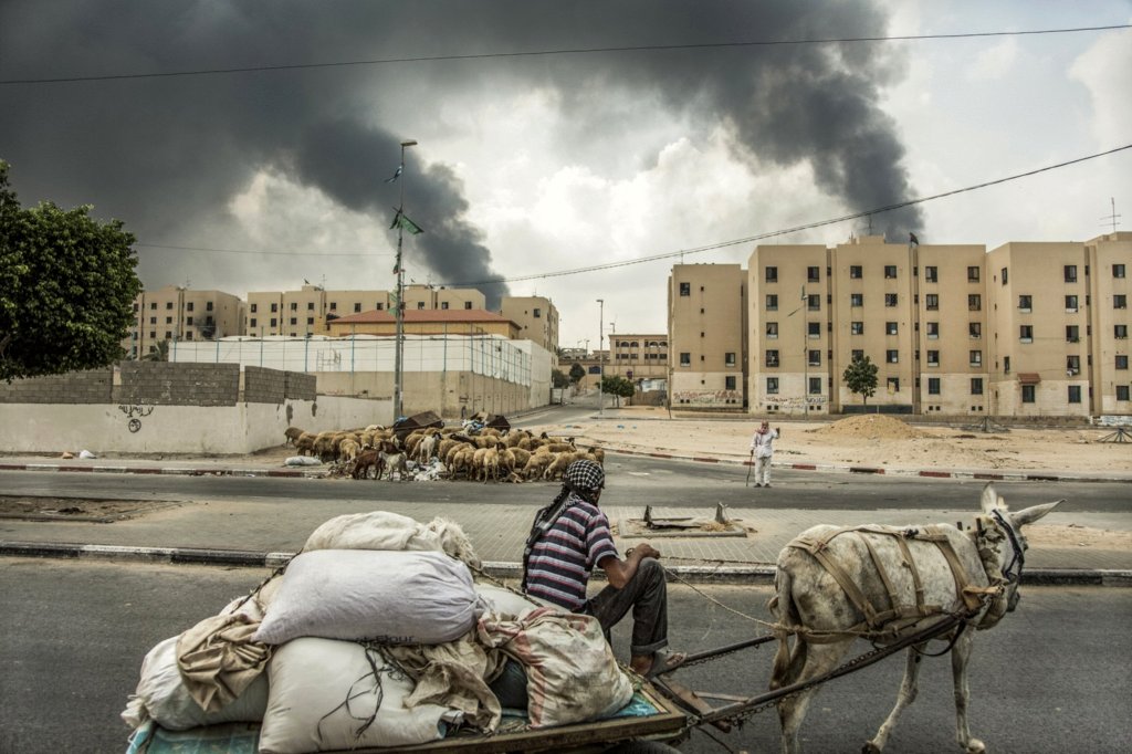 Gaza (2018) par Garry Keane, Andrew McConnell
