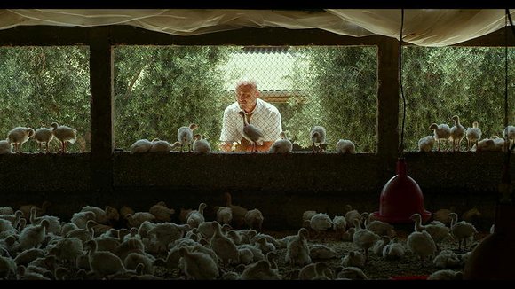 Baba Joon (2015) par Yuval Delshad