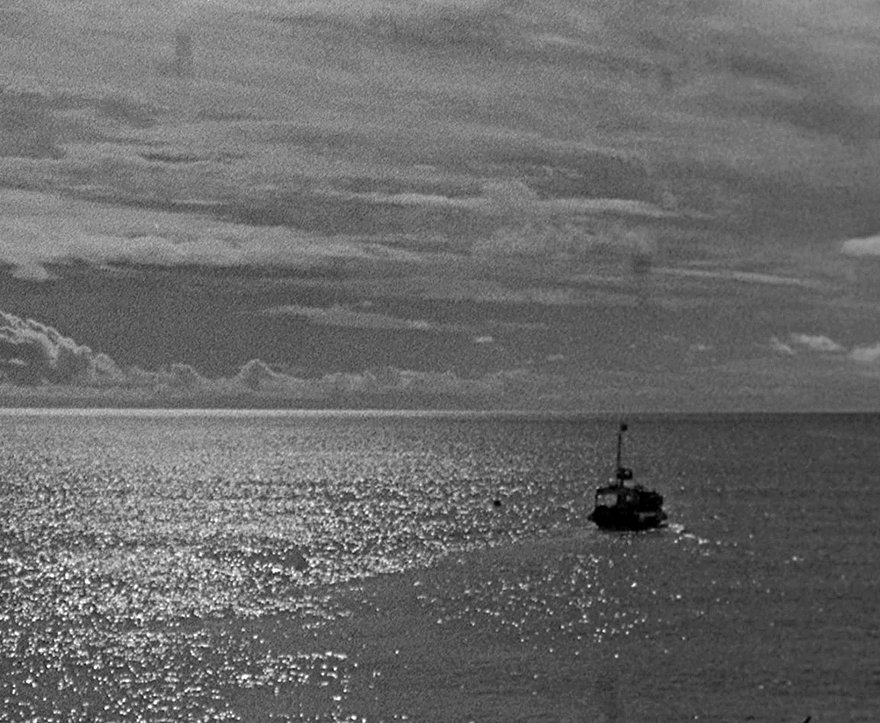 Bait (2019) by Mark Jenkin