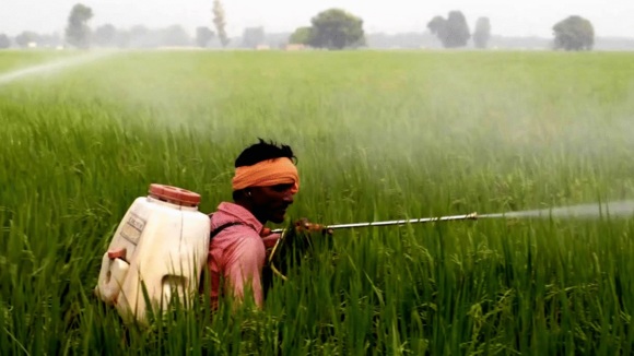 The True Cost (2015) by Andrew Morgan