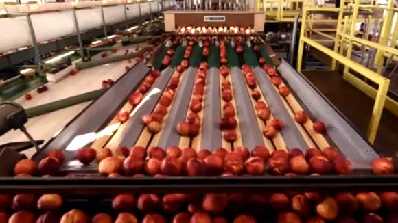 Just Eat It: A Food Waste Story (2014) par Grant Baldwin