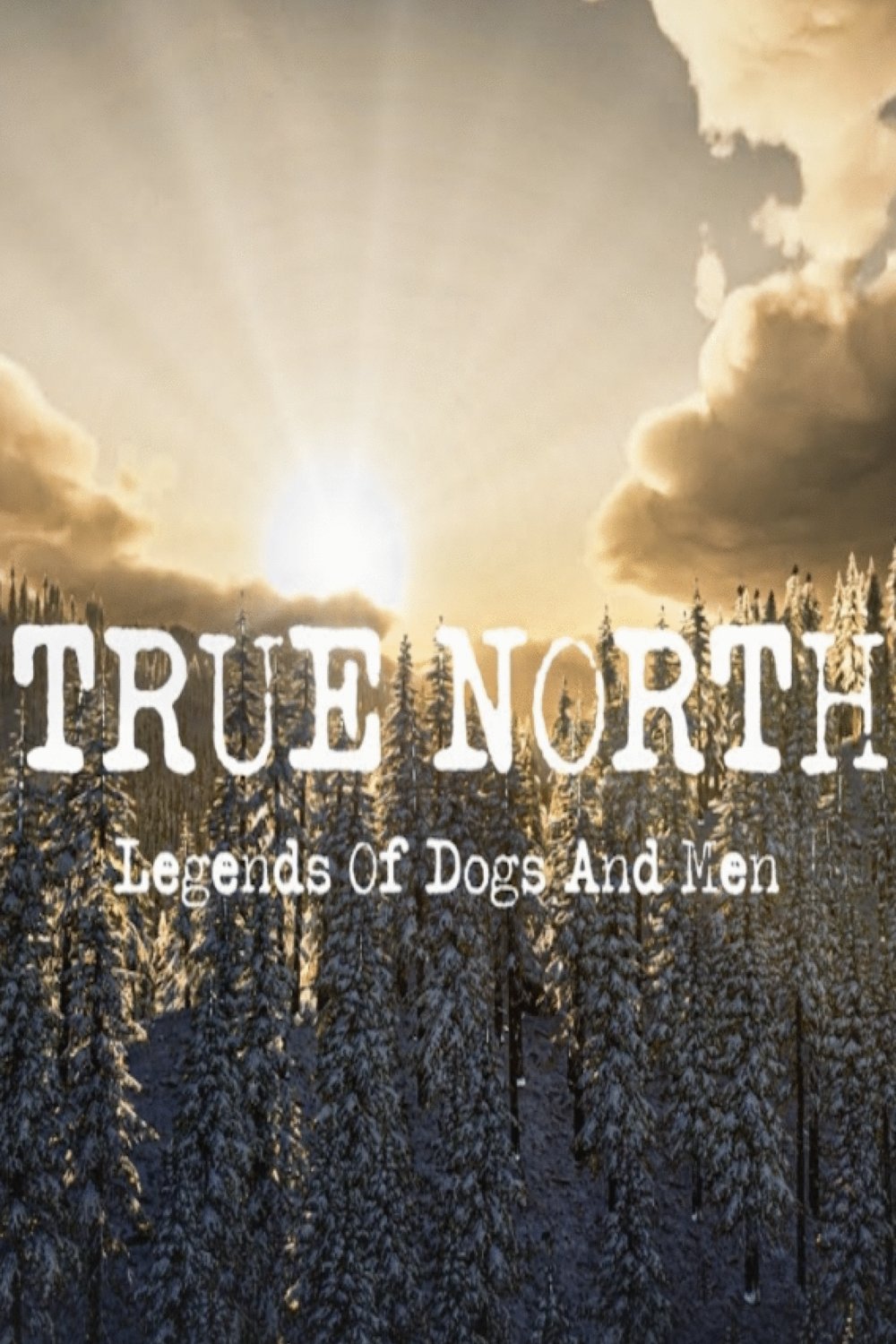 Le film True North Legends of Dogs and Men
