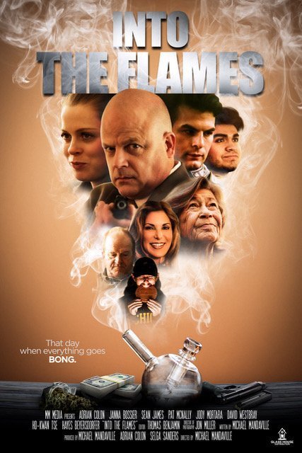 Into the Flames [2020] par Michael Mandaville