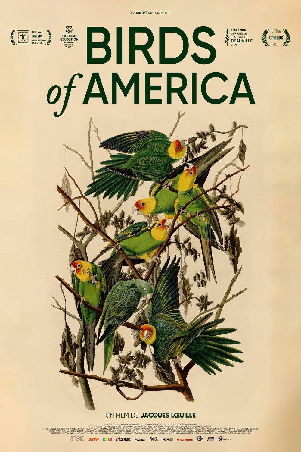 Birds of America (2021) by Jacques Loeuille