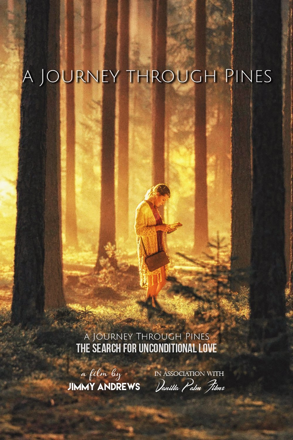 A Journey Through Pines (2017) by Jimmy Andrews