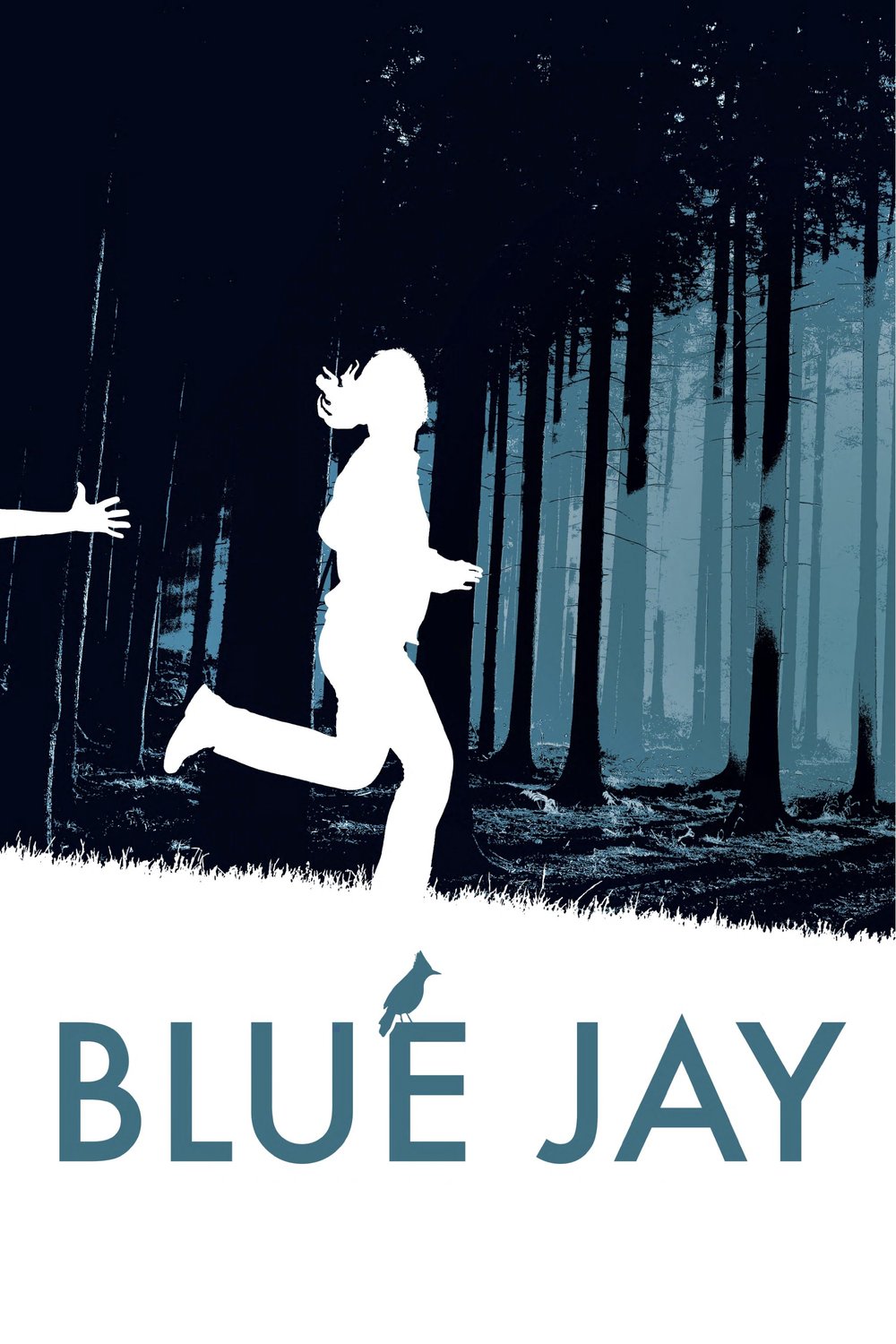 Blue Jay (2015) by Michael Ciulla
