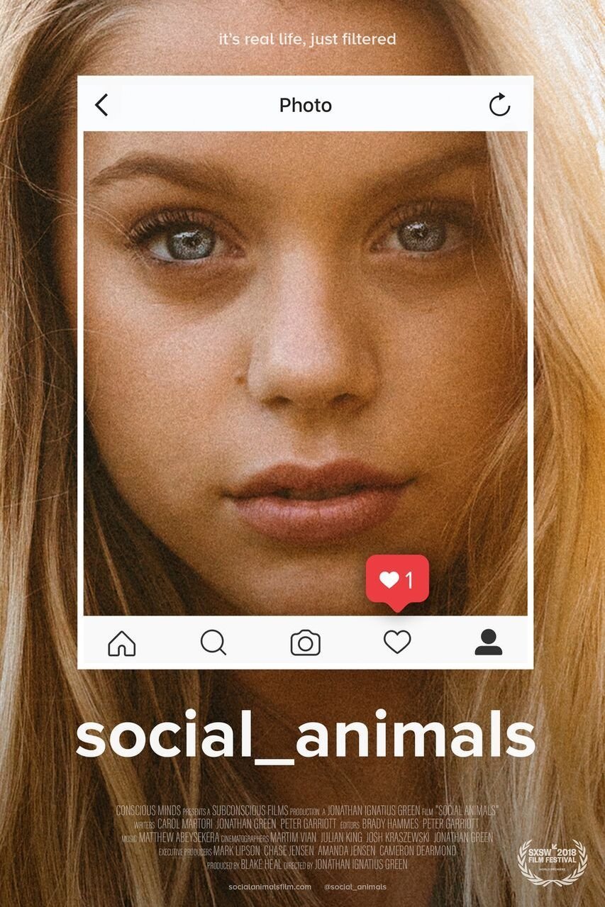 Social_animals (2017) par Jonathan Ignatius Green