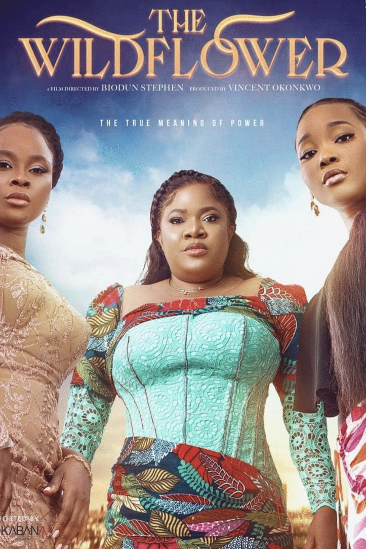 The Wildflower (2023) par Biodun Stephen