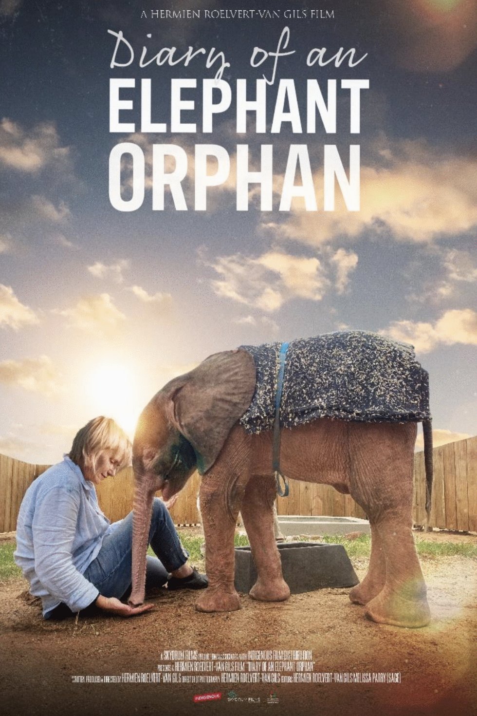 Diary of an Elephant Orphan (2024) by Hermien Roelvert