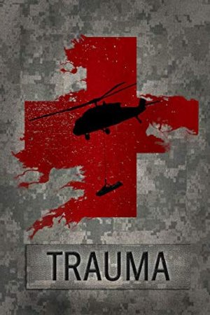 Trauma (2017) by Harry Sanna