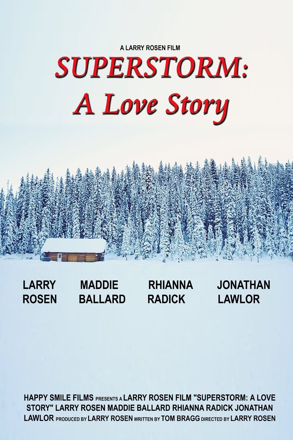 Superstorm: A Love Story [2019] par Larry Rosen