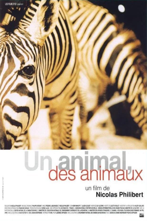 Un animal, des animaux (1995) by Nicolas Philibert